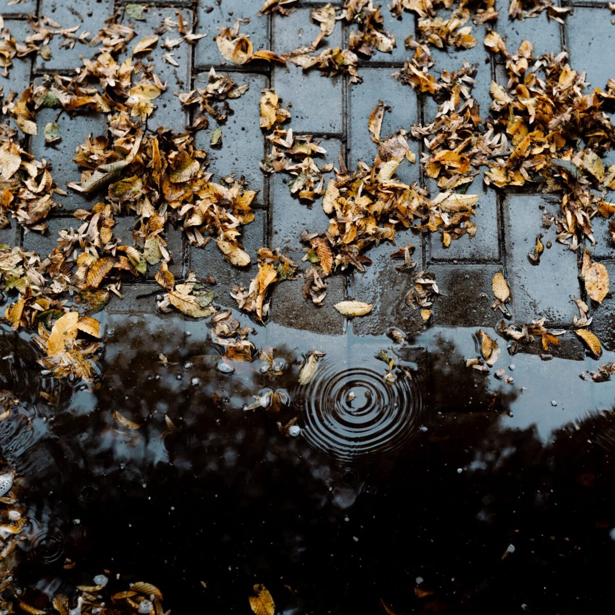 Here's Your Preventative Fall Cleaning To-Do List - Cleansolution